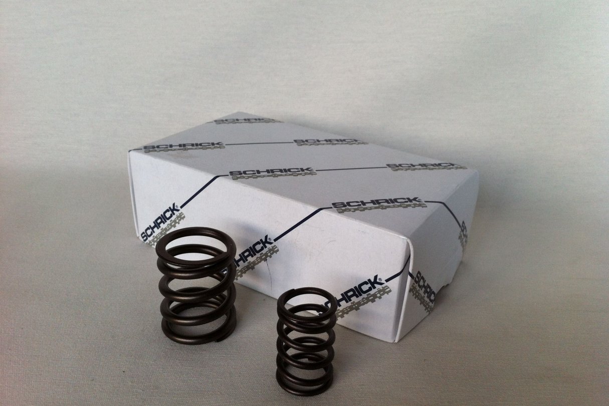 Valve springs Schrick G60